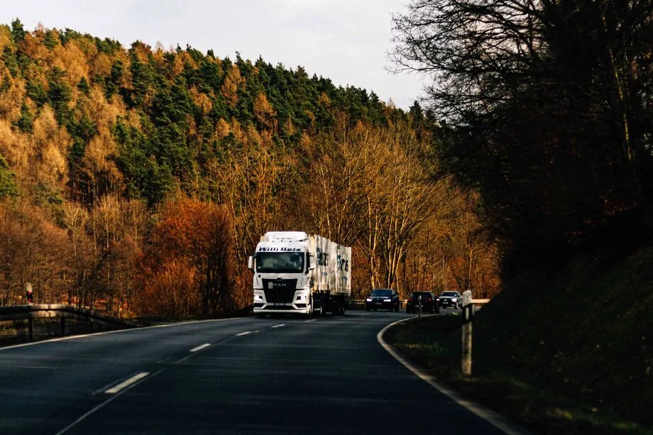 Chicken Haulage — profesjonalny transport zwierząt w Polsce